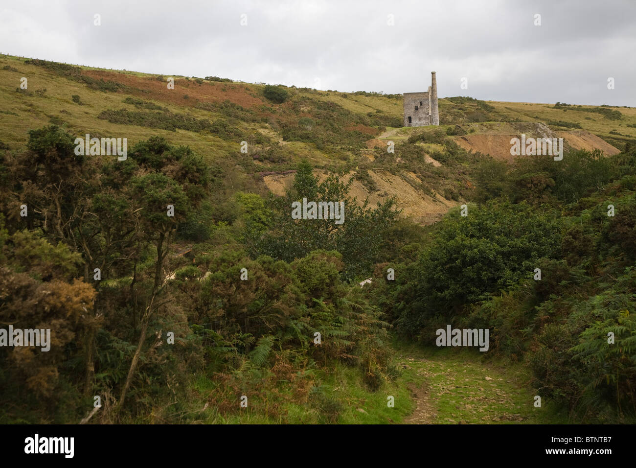 Wheal Betsy, Devon Stock Photo - Alamy