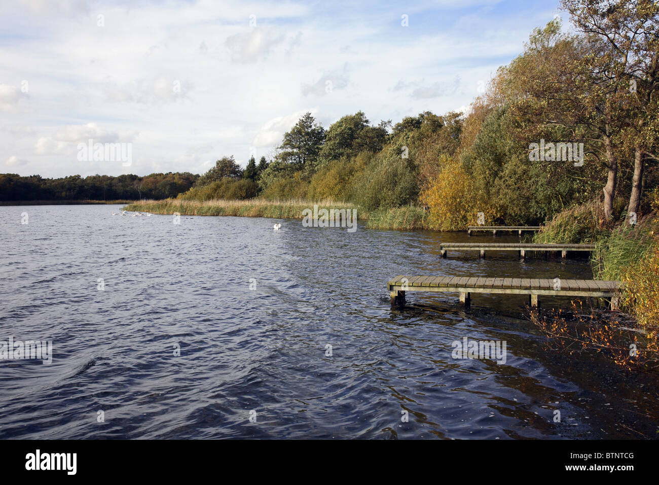 Rollesby Broad in Norfolk, UK Stock Photo - Alamy