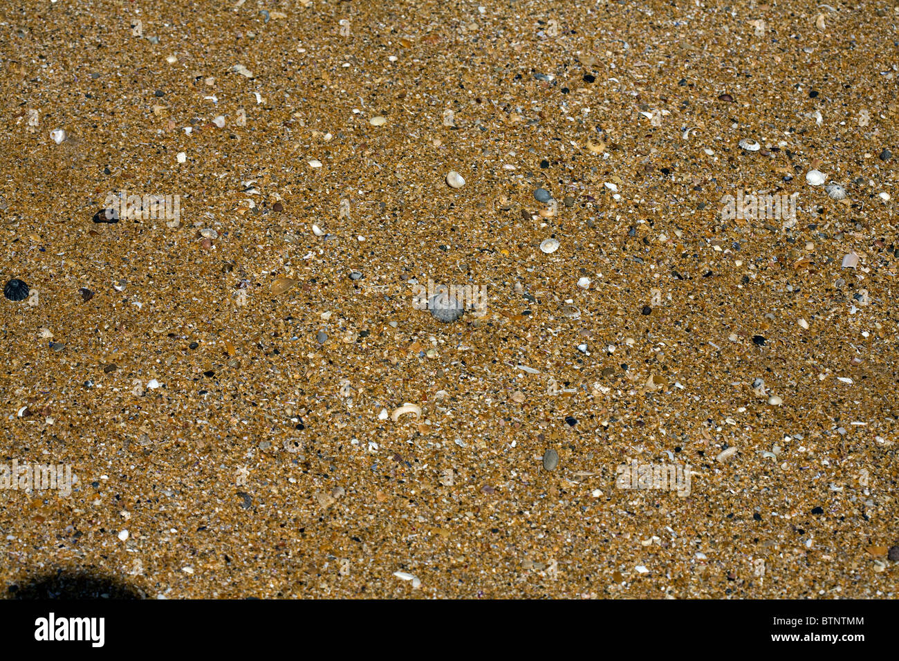 Sand and shell patterns and textures the beach at Embleton Bay ...