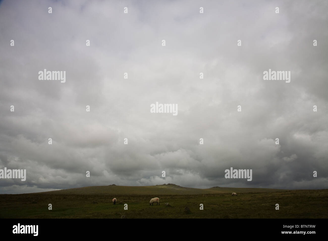 Merrivale landscapes High Resolution Stock Photography and Images - Alamy