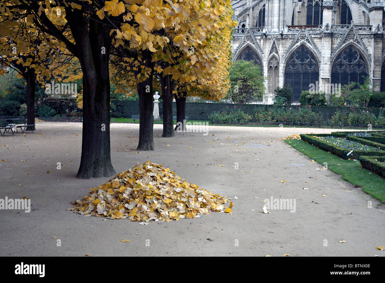 Cathedral pile leaves paris france hi-res stock photography and images ...