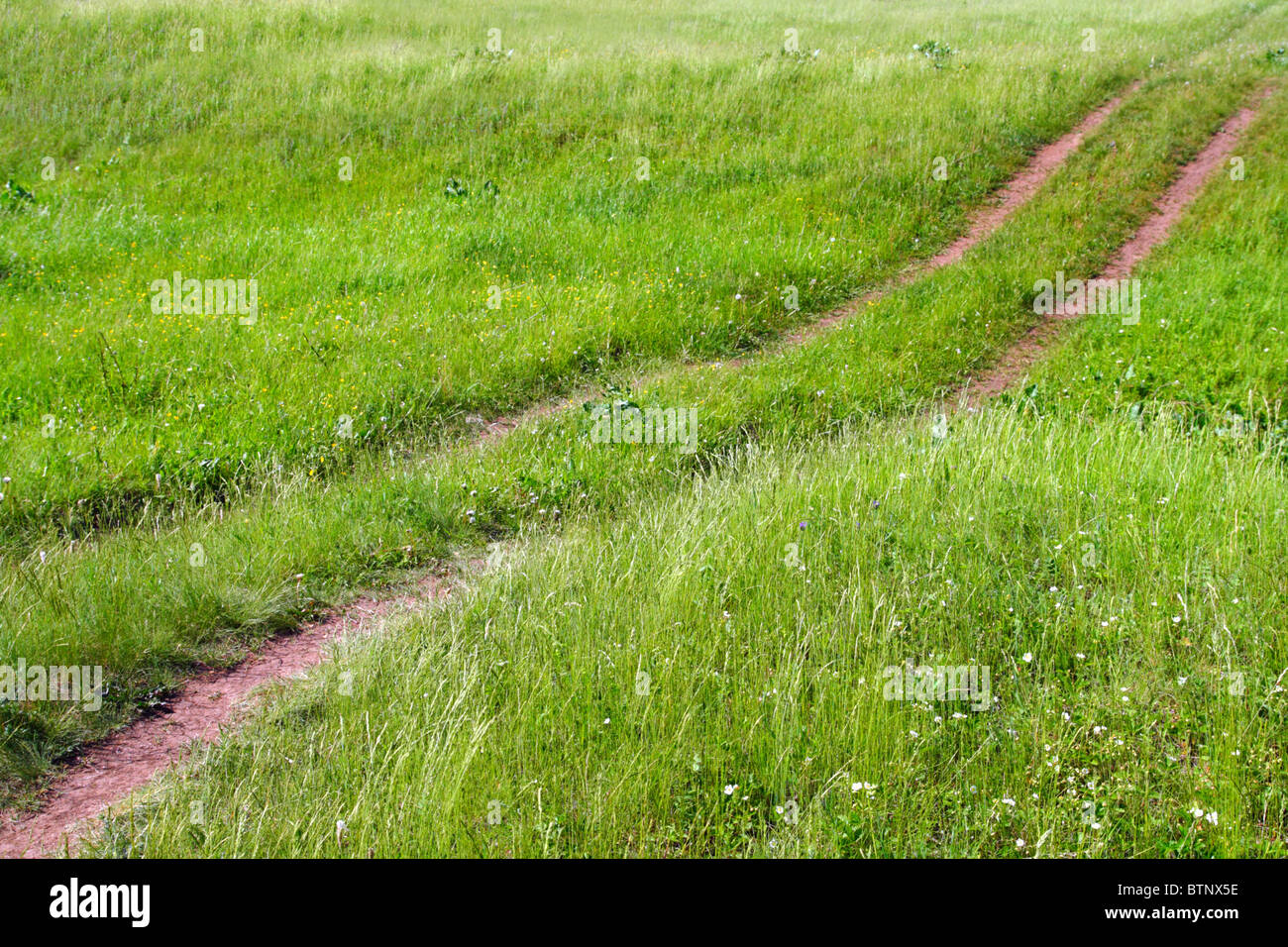 Meadow track hi-res stock photography and images - Alamy