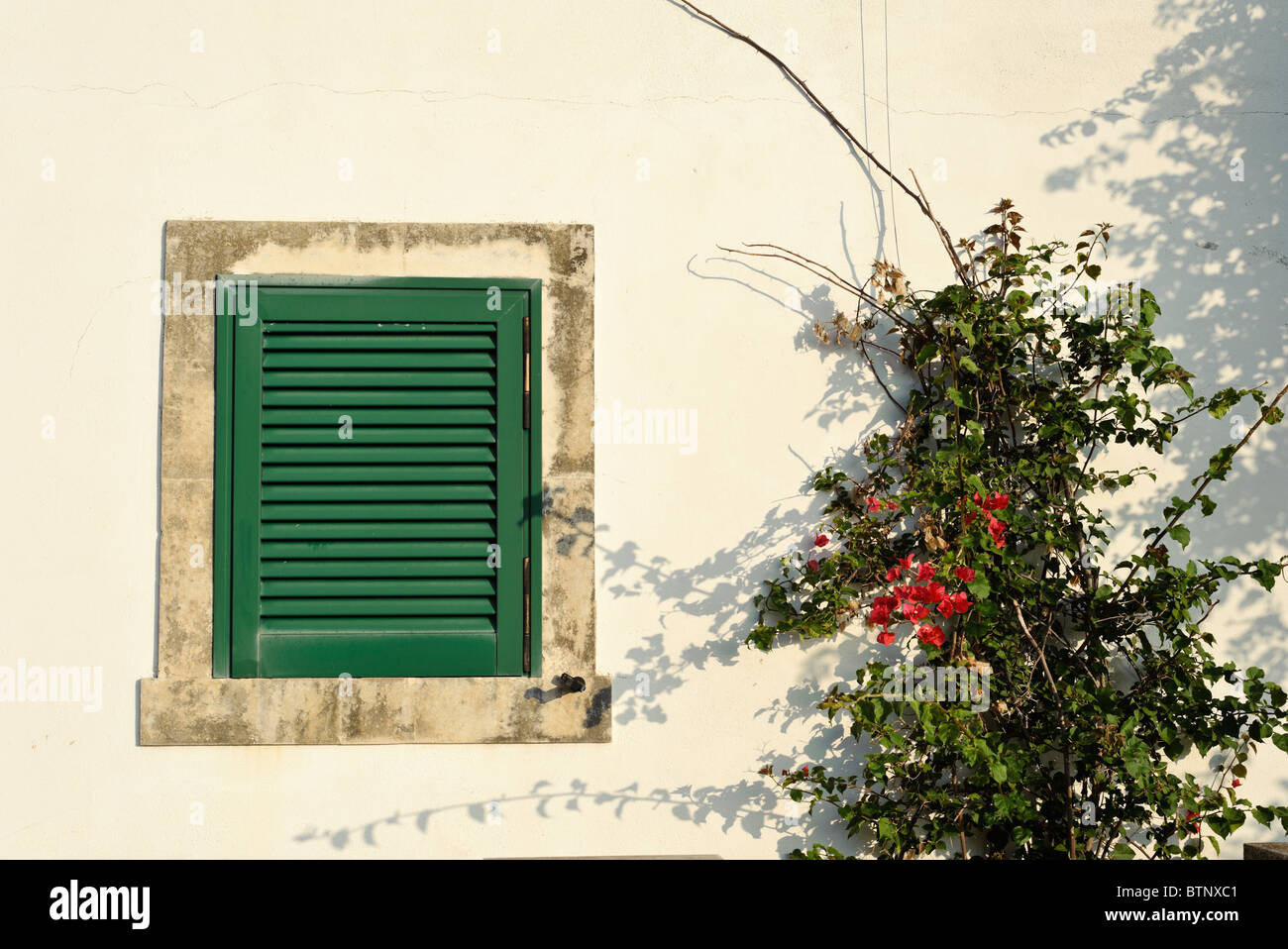 Bougainvillea on mediterranean style hi-res stock photography and ...