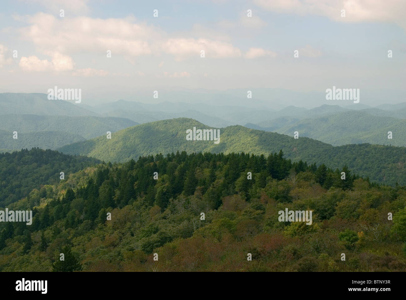 The natural beauty of the Blue Ridge Mountains in the state of North ...