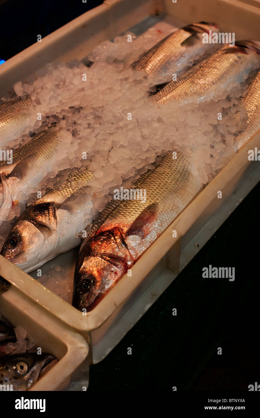 Covered Market Oxford Fish High Resolution Stock Photography and Images ...