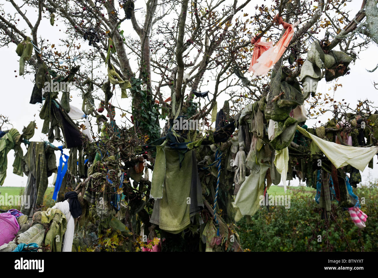 Saint kierans bush hi-res stock photography and images - Alamy