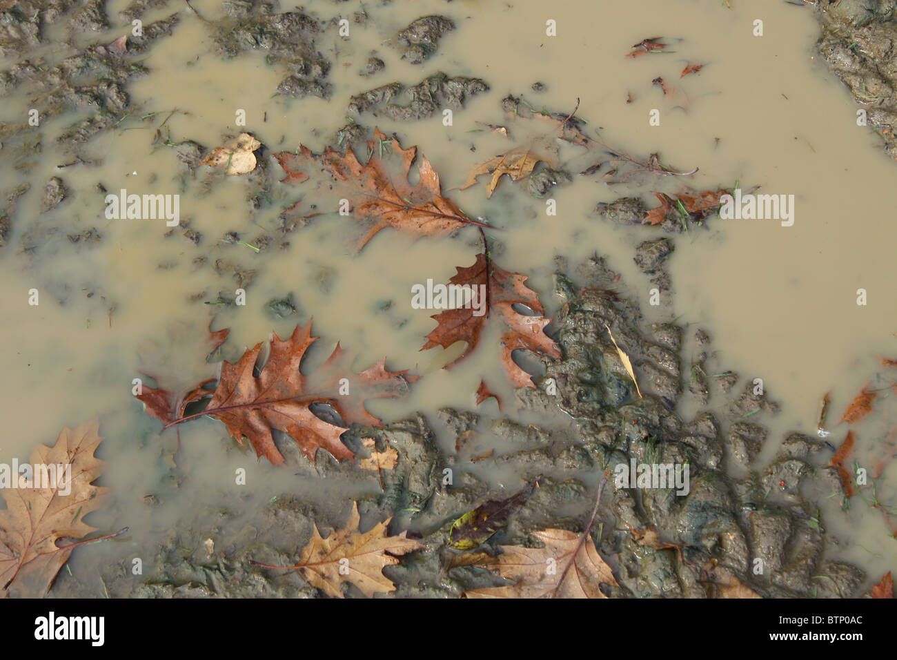 Puddle mud hi-res stock photography and images - Alamy