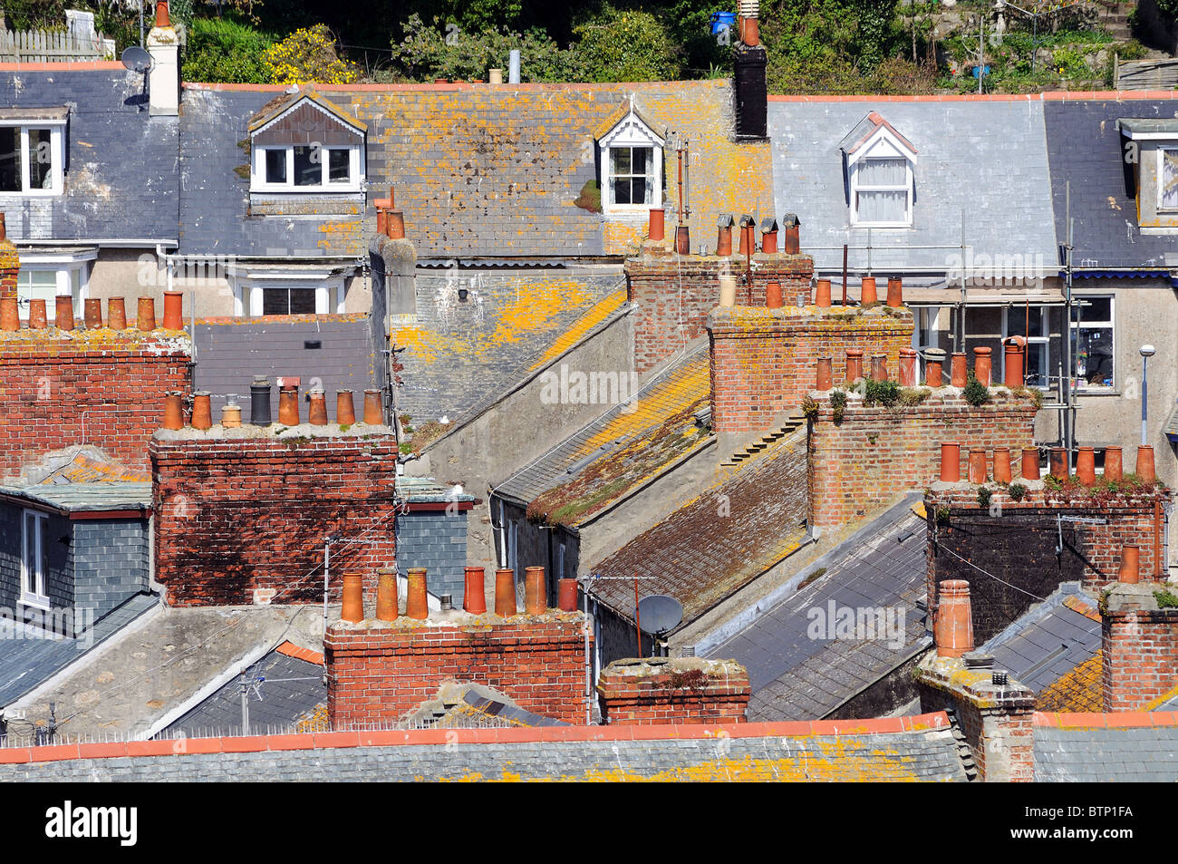 Devon slate roof hi-res stock photography and images - Alamy
