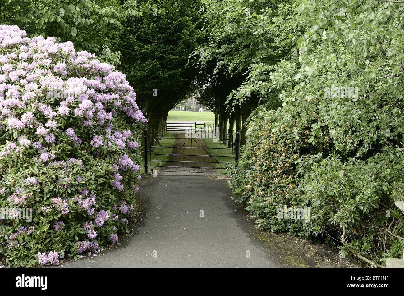 Cart track hi-res stock photography and images - Alamy