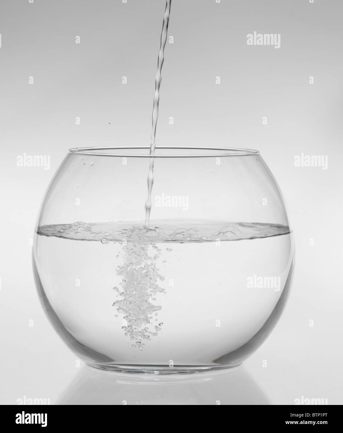 Freshwater aquarium fish color Black and White Stock Photos & Images ...