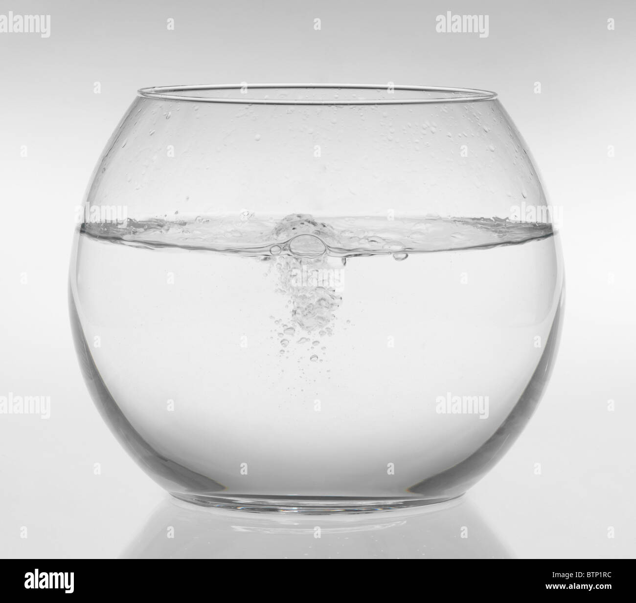 Freshwater aquarium fish color Black and White Stock Photos & Images ...