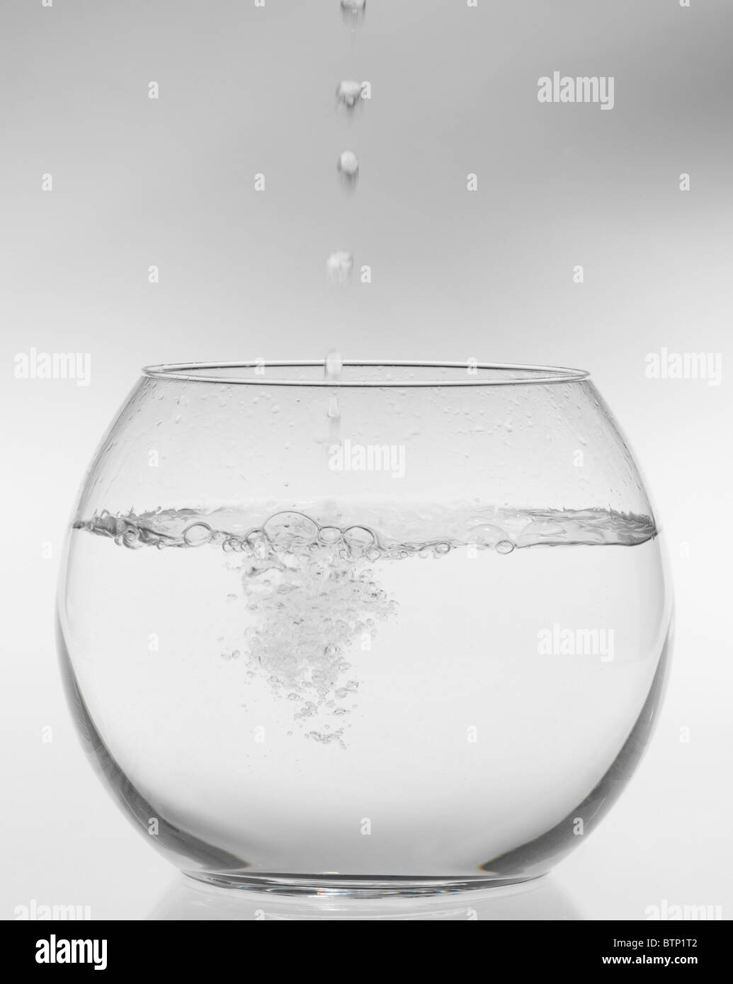 Freshwater aquarium fish color Black and White Stock Photos & Images ...