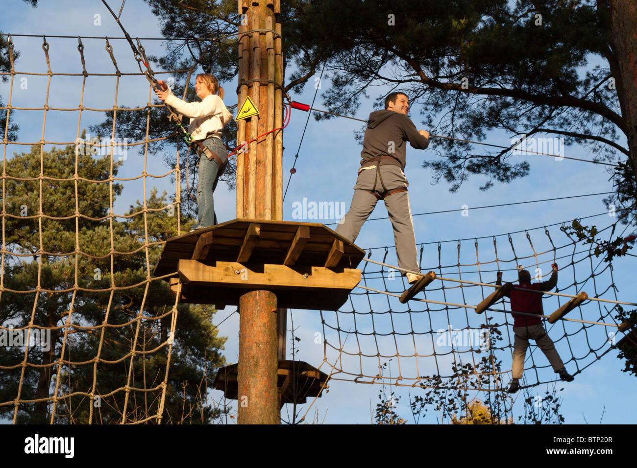 Go Ape Trees High Resolution Stock Photography and Images - Alamy