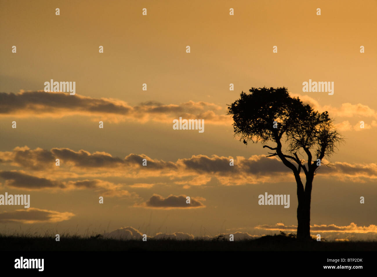 African sunset colors hi-res stock photography and images - Alamy