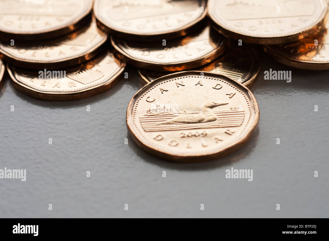 Loonie hi-res stock photography and images - Alamy