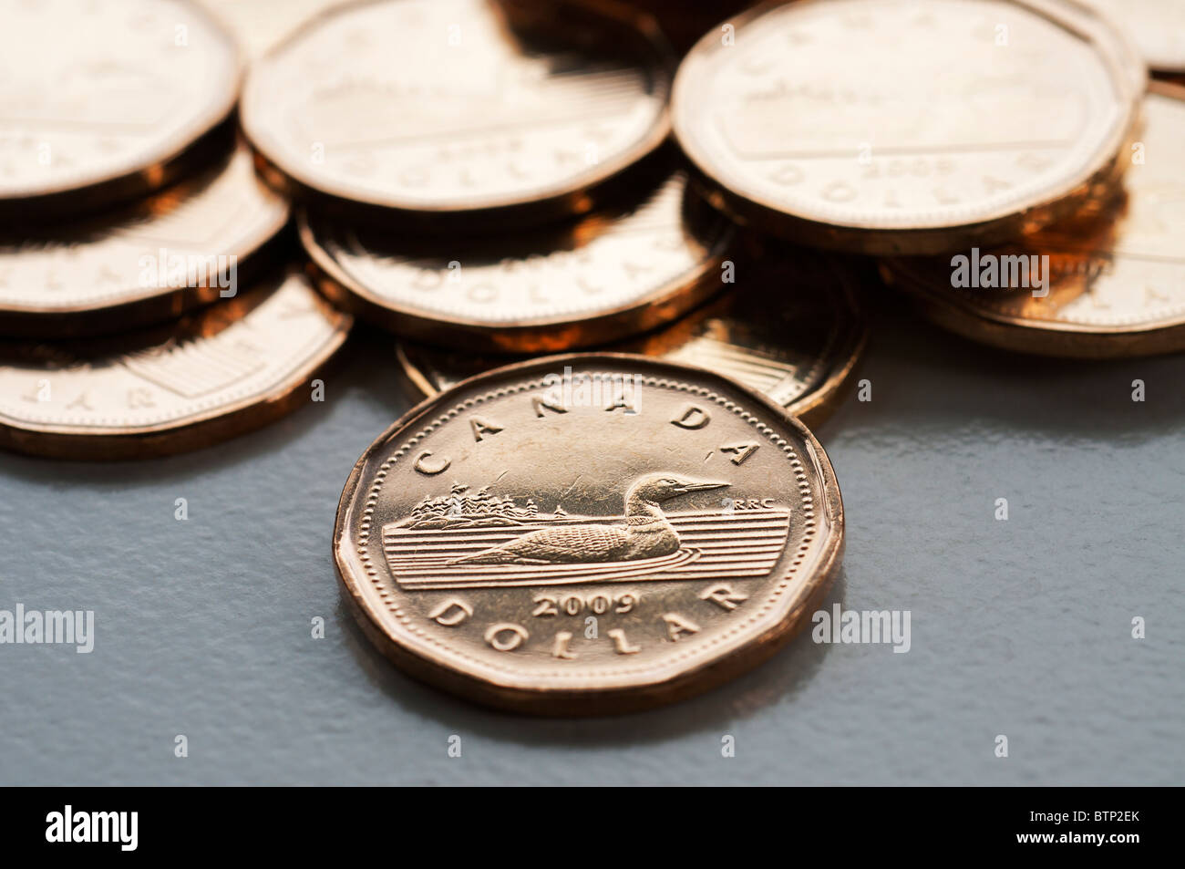 A high angle close-up view of Canadian one dollar ("loonie") coins ...