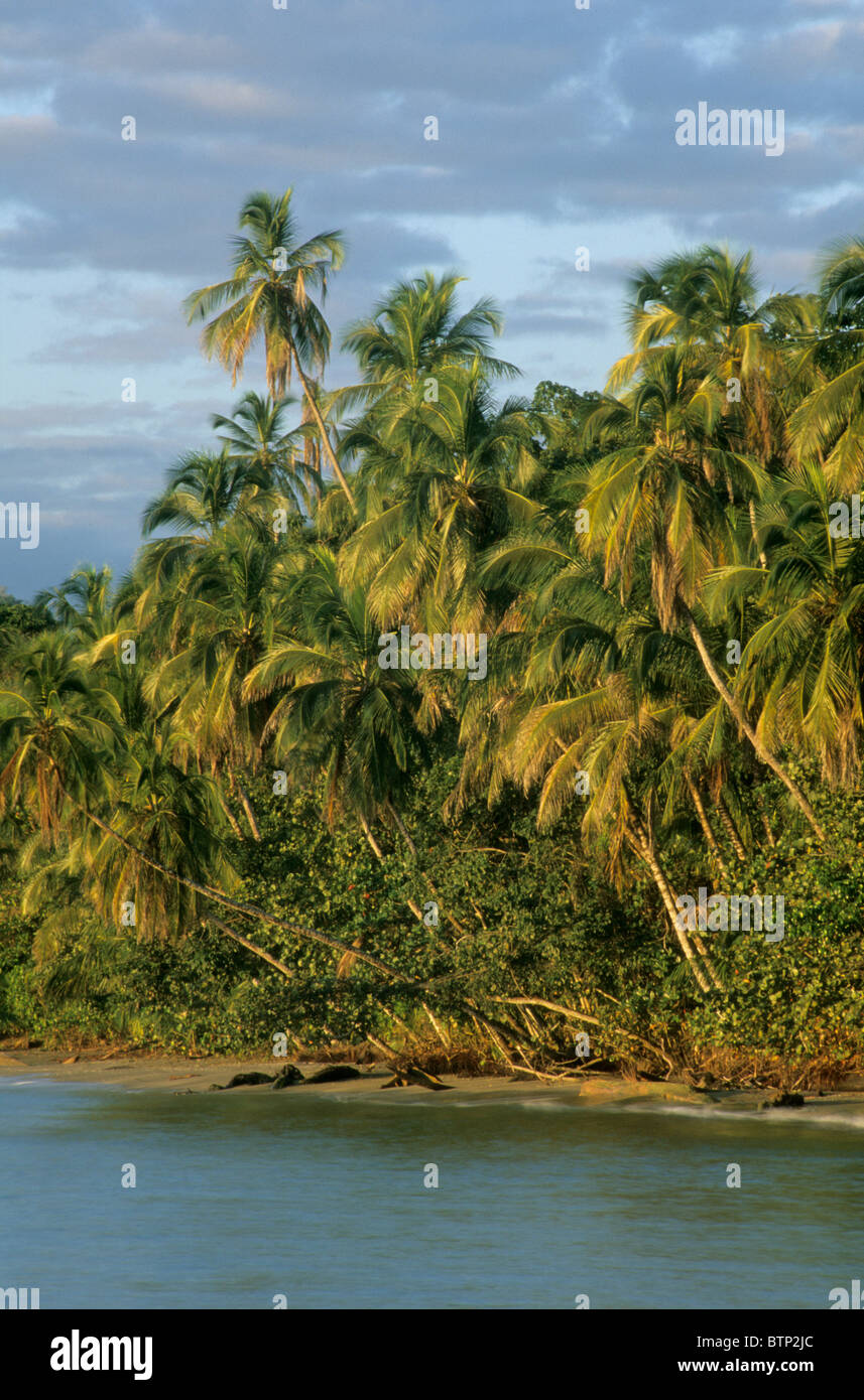 Southern caribbean coast of costa rica hi-res stock photography and ...