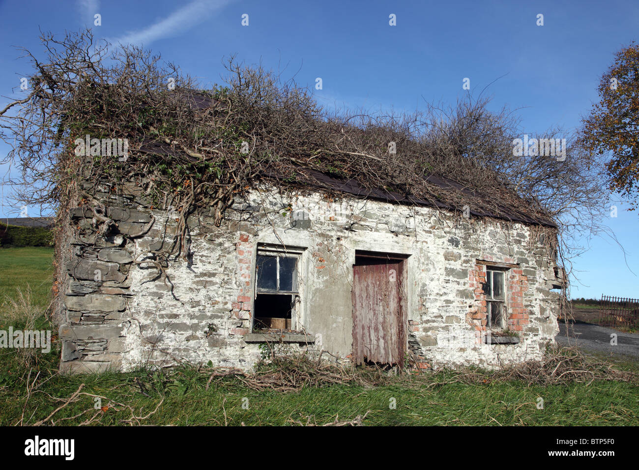 Derelict cottage, Dundalk Road, Ireland Stock Photo - Alamy