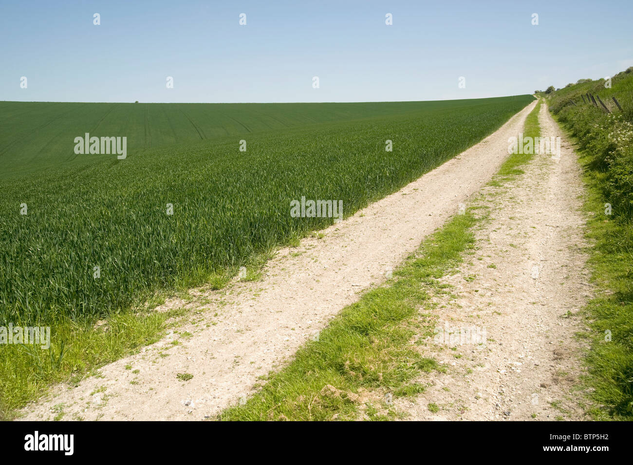 Track in wilshire field hi-res stock photography and images - Alamy