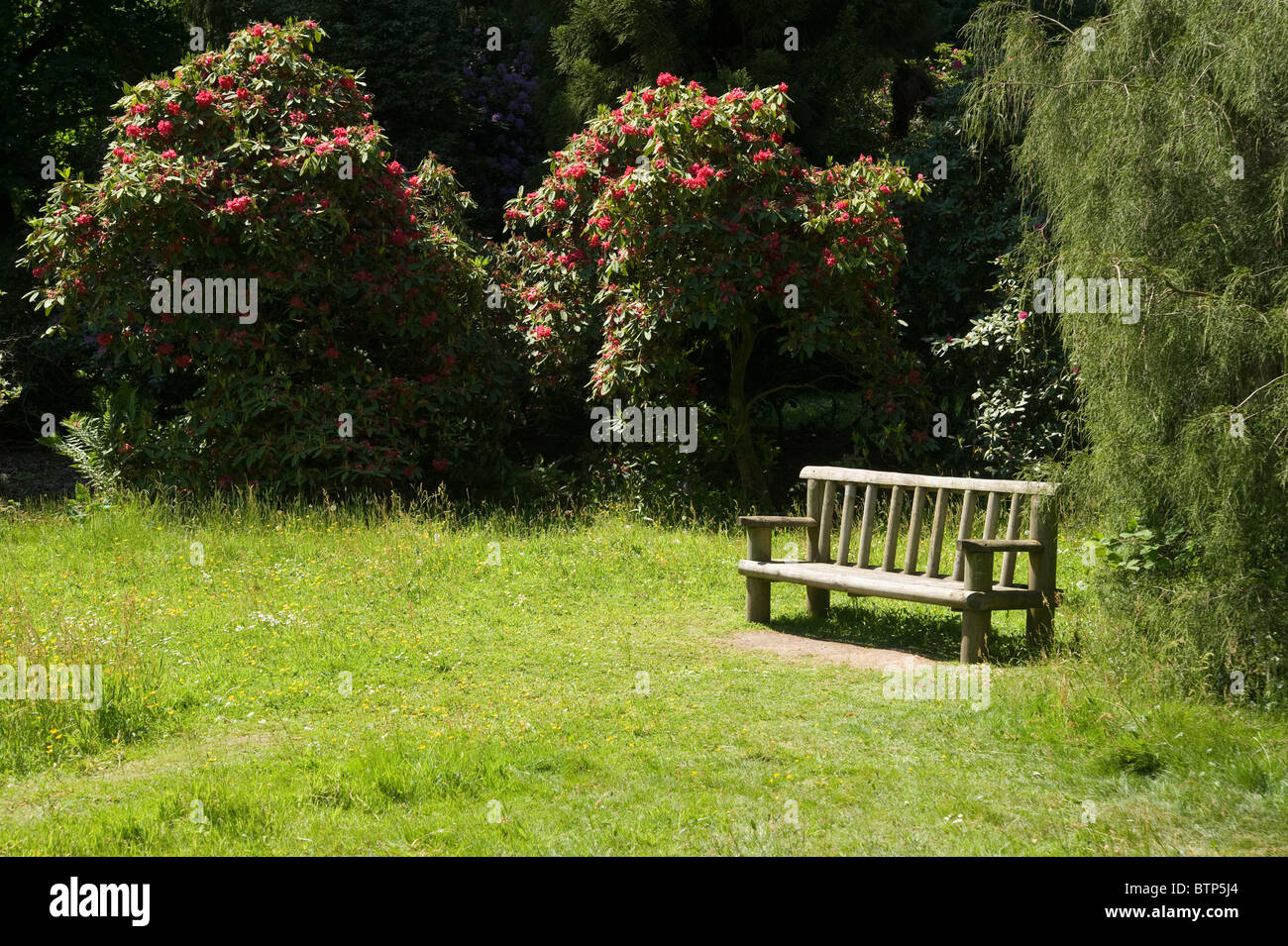 Uk bench in garden hi-res stock photography and images - Alamy