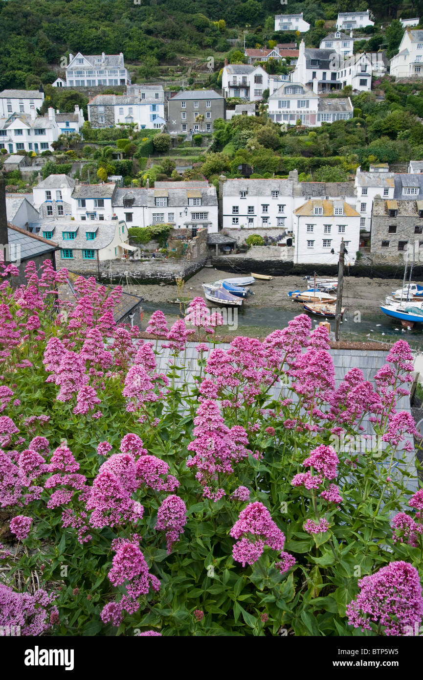 Polperro, Fishing town, Cornwall, UK Stock Photo - Alamy