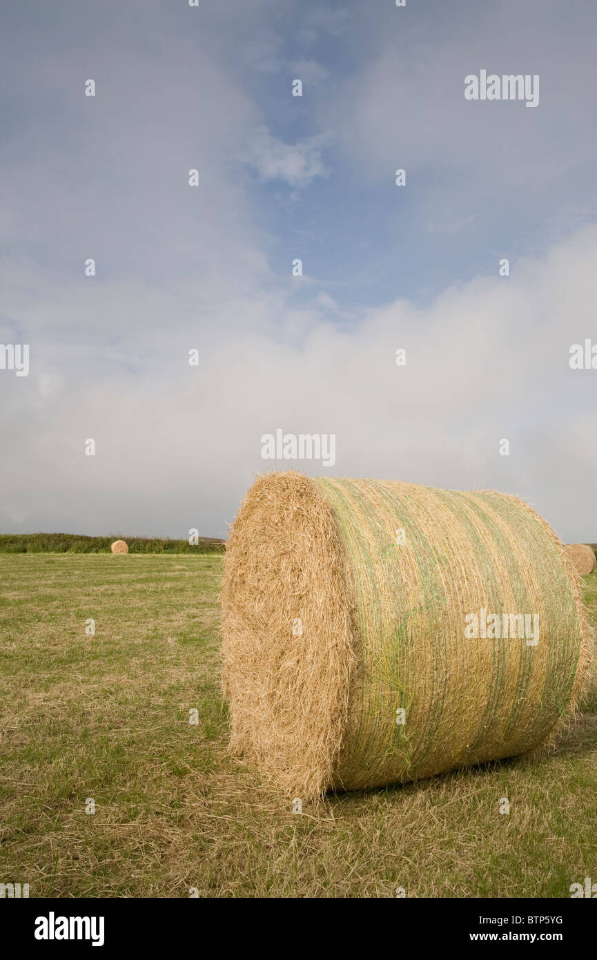 Bail Of Hay High Resolution Stock Photography and Images - Alamy