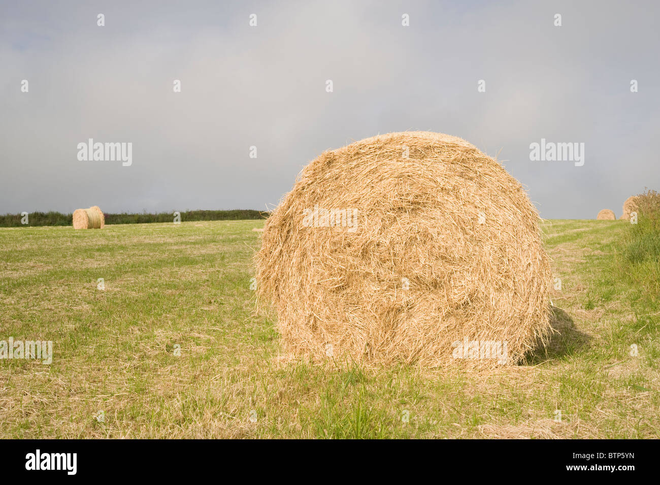 Uk hay bail hi-res stock photography and images - Alamy