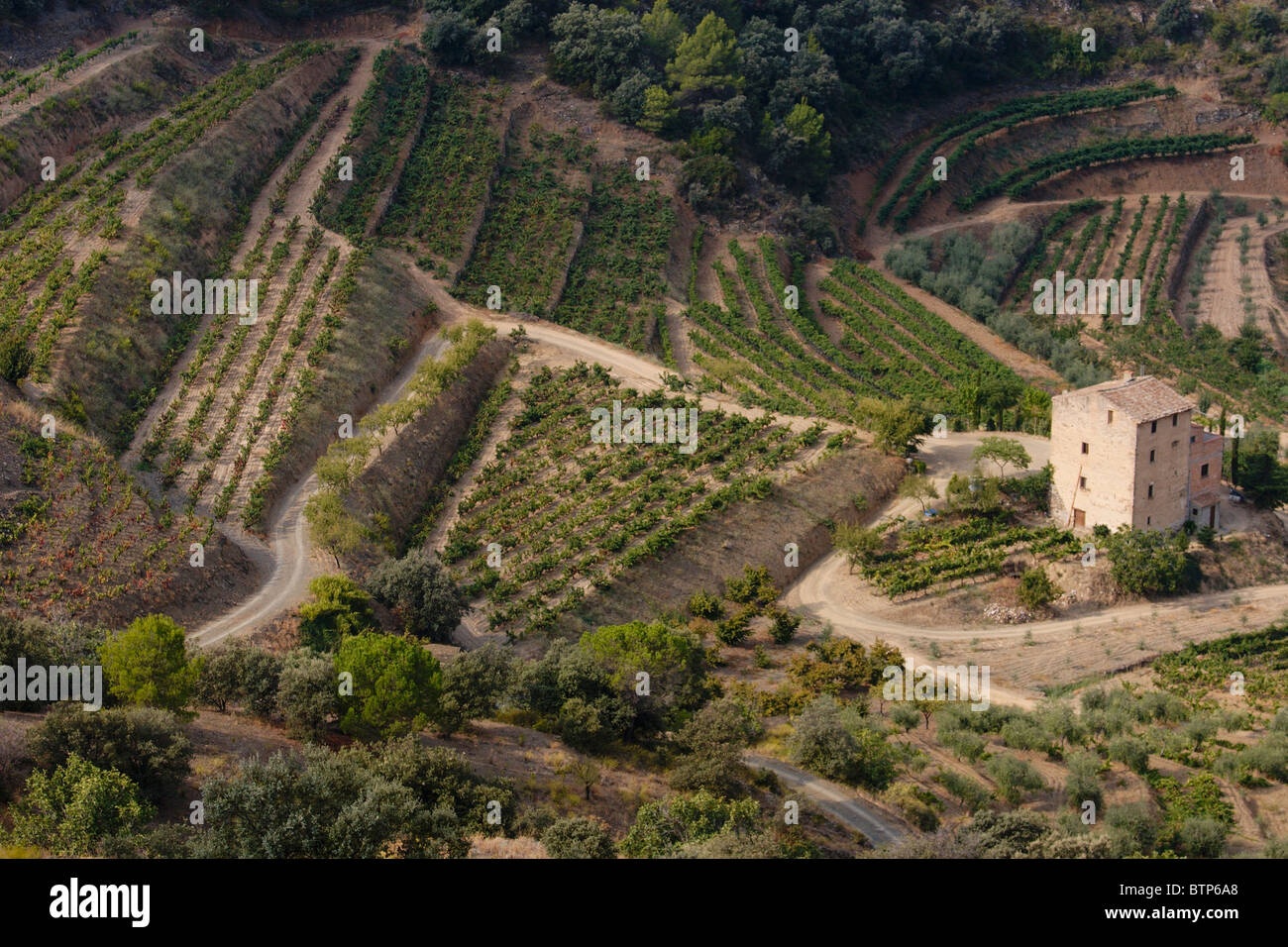 Priorat vineyards hi-res stock photography and images - Alamy