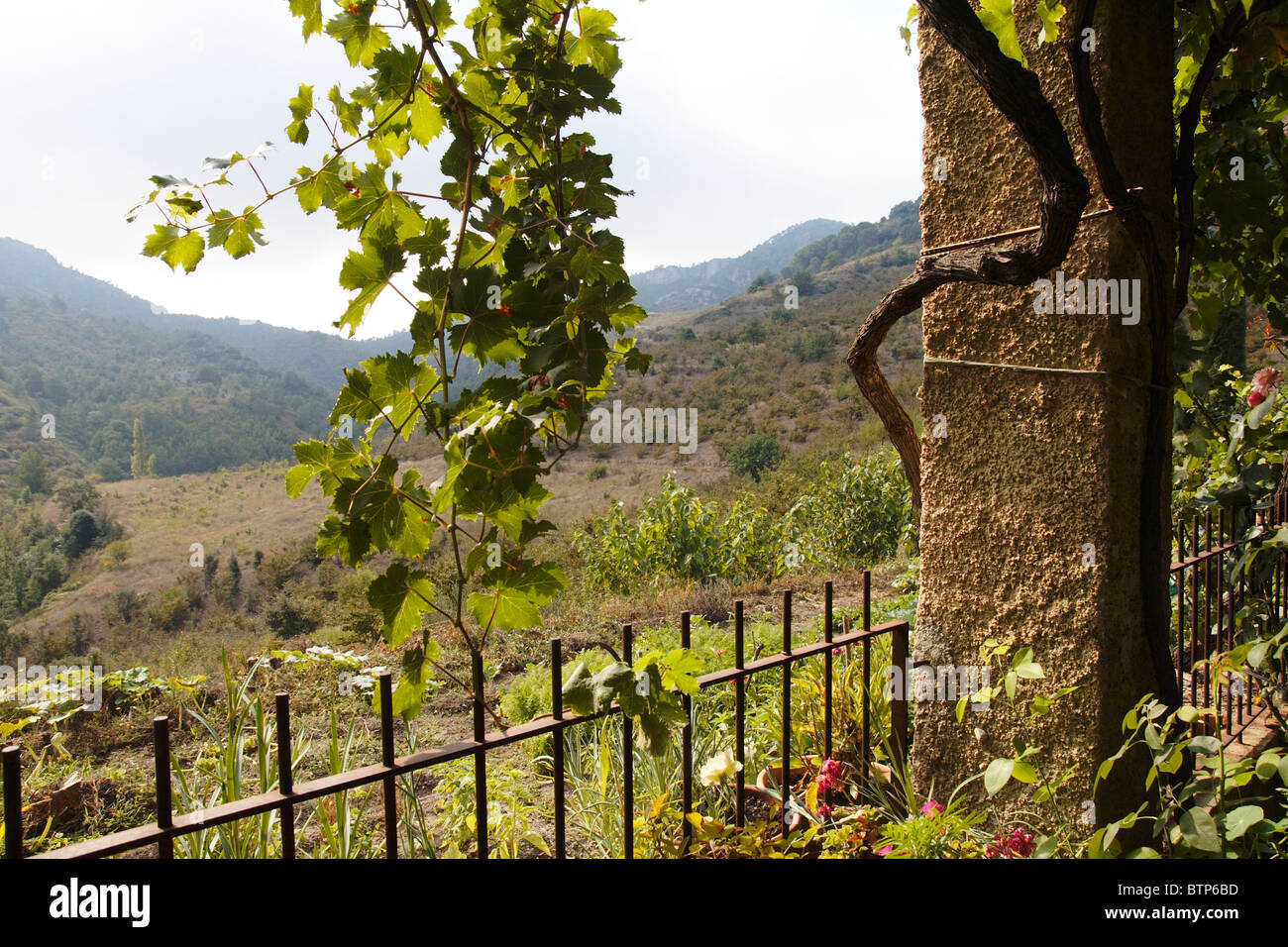 Falset hi-res stock photography and images - Alamy