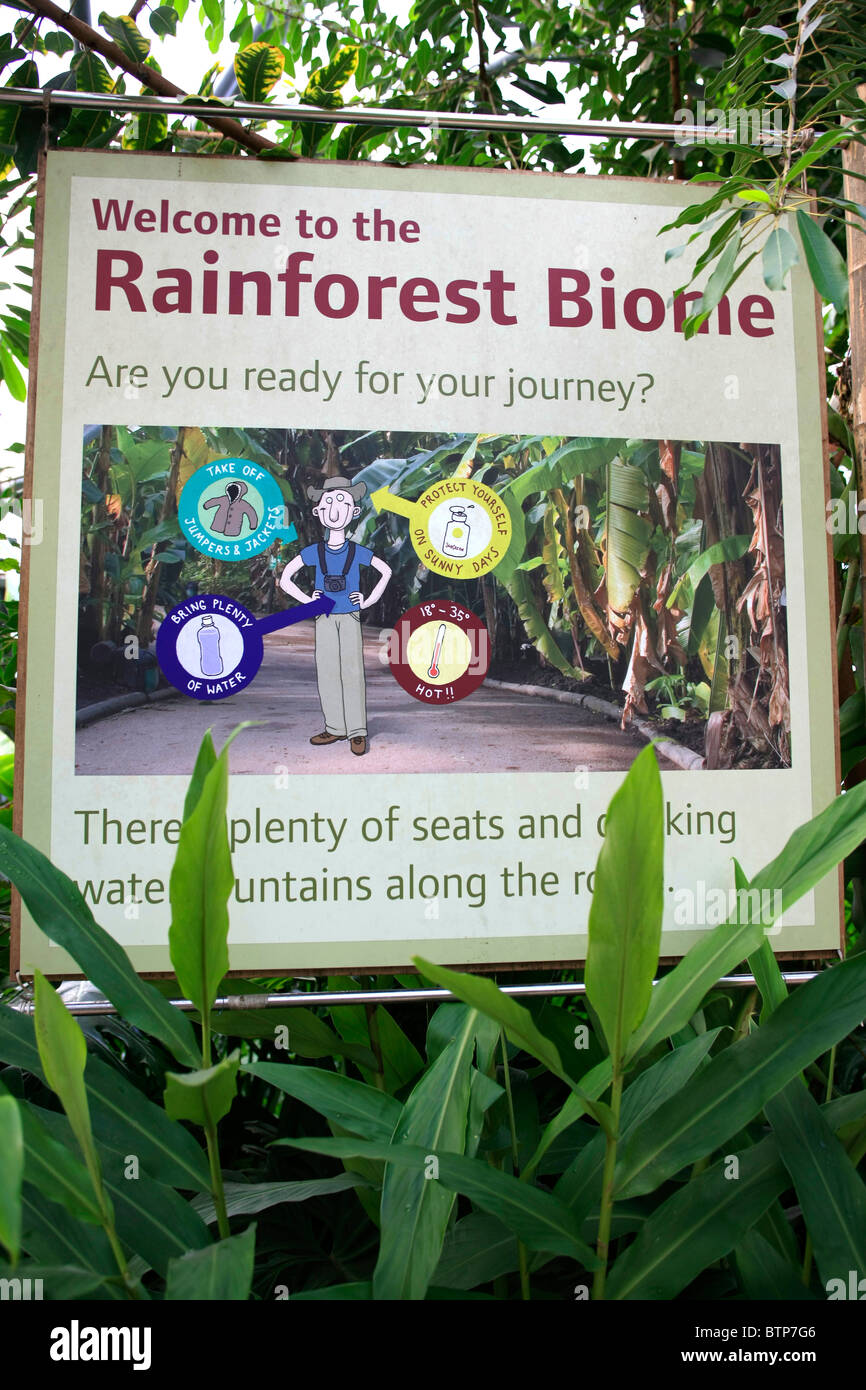 Inside the Rainforest Biome dome at the Eden Project Cornwall Stock ...