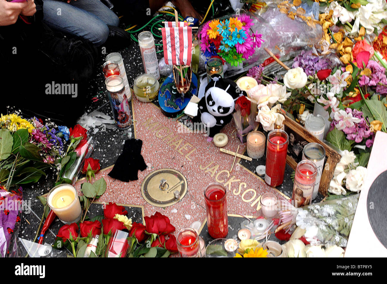 Fans Leave Flowers on Michael Jackson's Star on the Hollywood Walk of ...