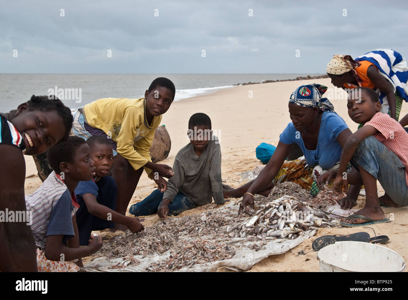 Fish sorting hi-res stock photography and images - Alamy