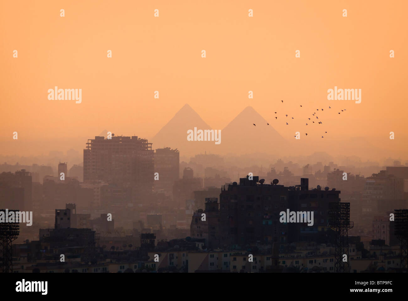 Cairo city skyline and Pyramids and some birds Stock Photo - Alamy