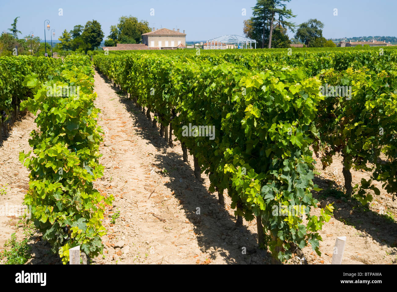 France vineyard hi-res stock photography and images - Alamy