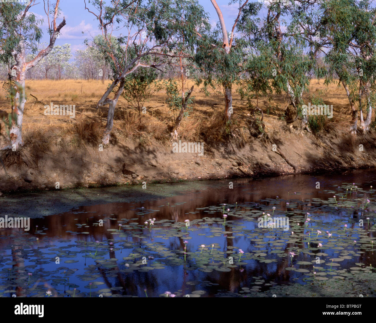 Australia WA Pilbara Billabong Stock Photo - Alamy