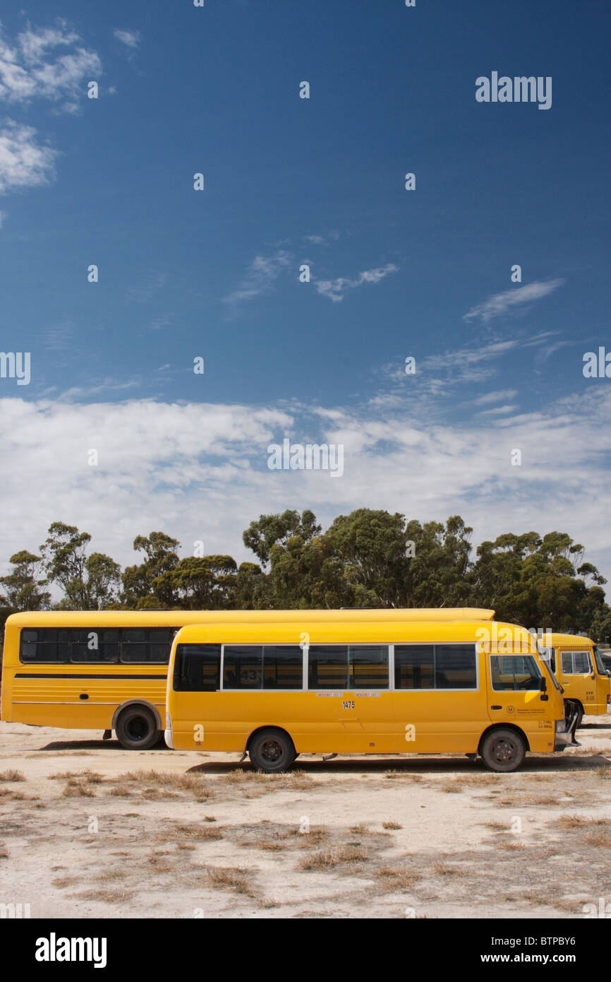 Australia, South Australia, Coorong, Meningie, School buses at beach ...