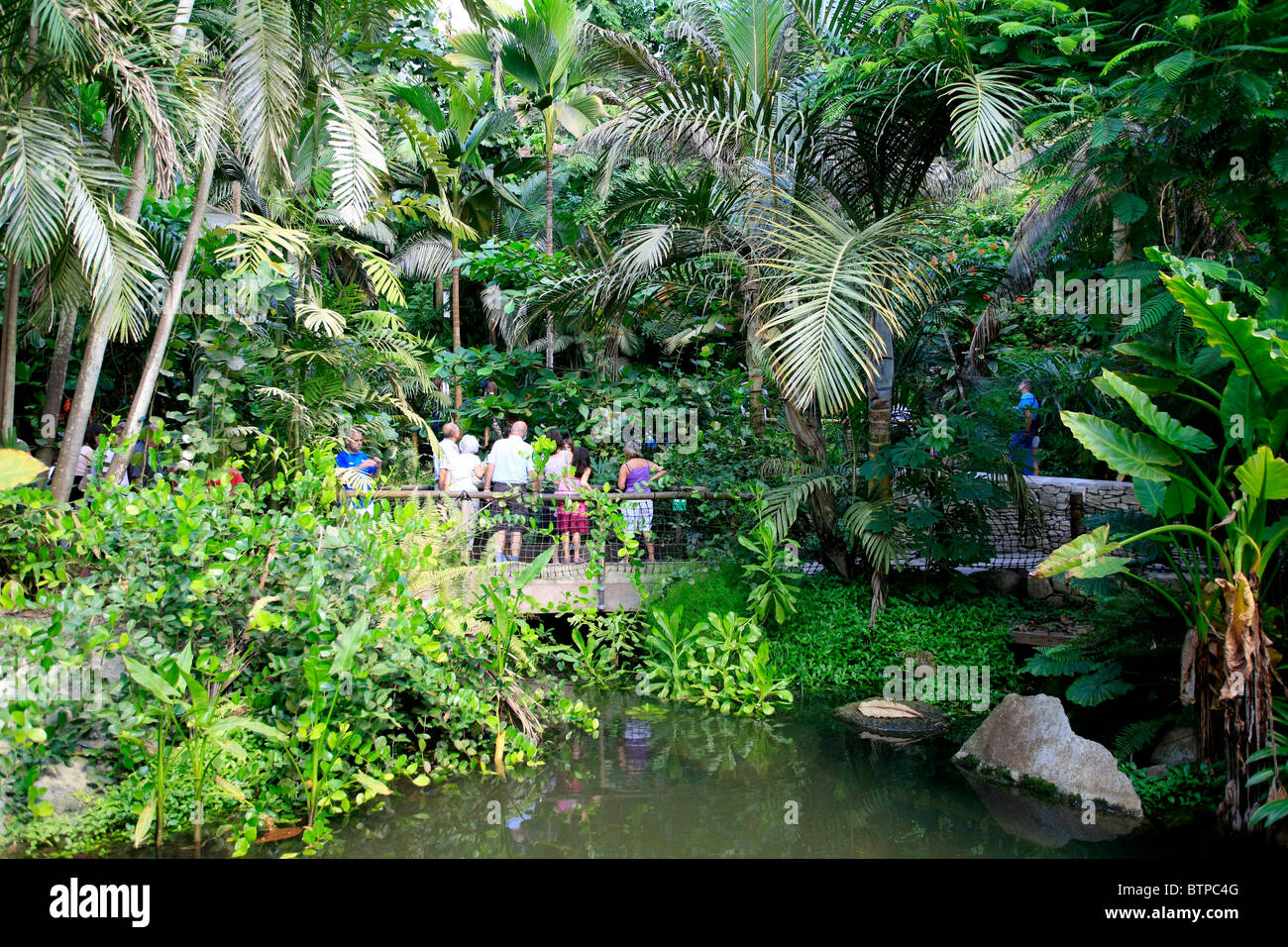 People on a tour of a rain forest in the Malaysian Jungle Stock Photo ...