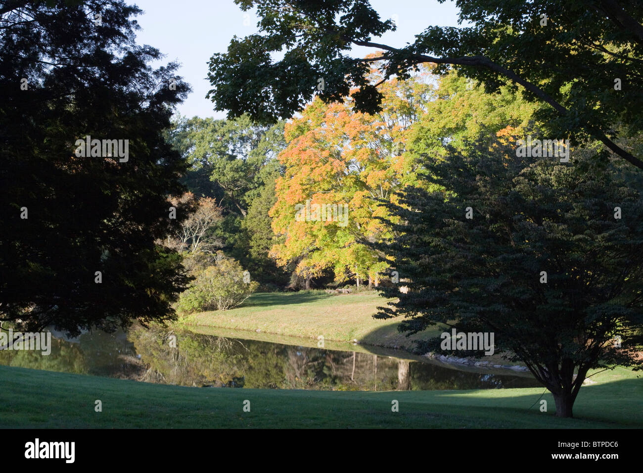Pond and fall colors in USA Stock Photo - Alamy