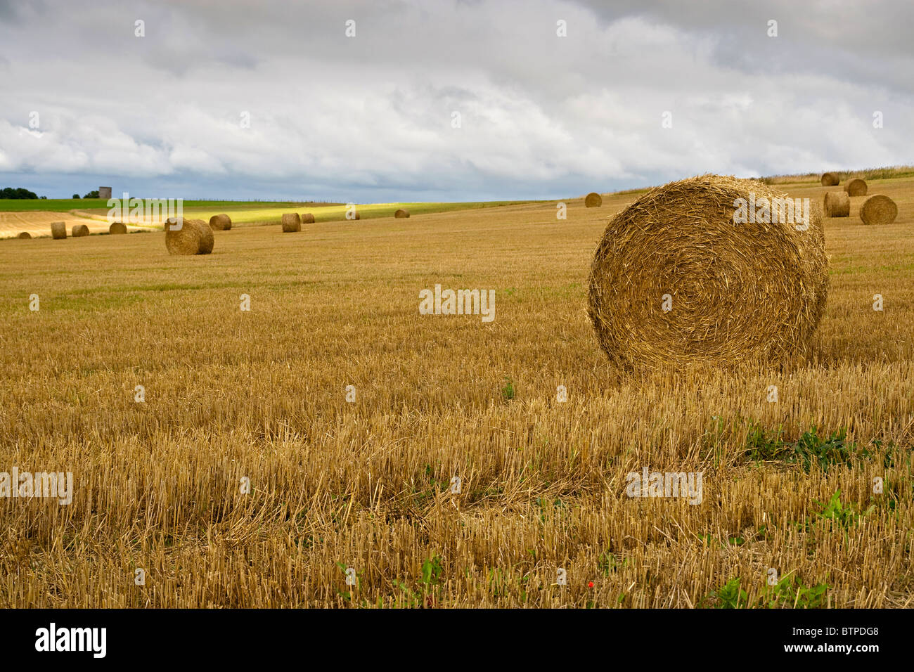 Field of straw bales hi-res stock photography and images - Alamy