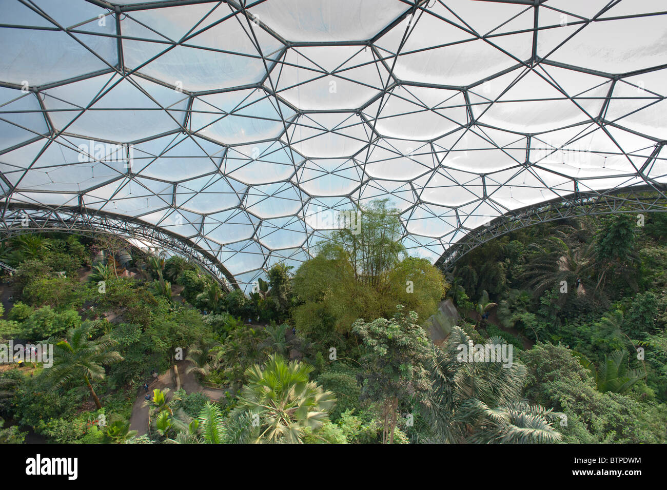 Tropical rainforest biome hi-res stock photography and images - Alamy