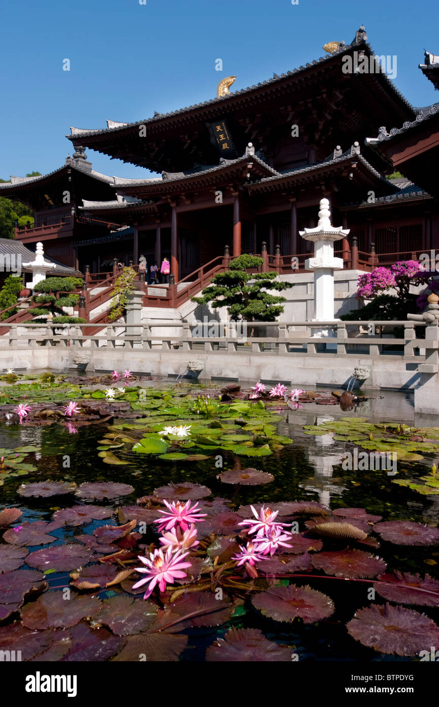 Asia, China, Hong Kong, Chi Lin Nunnery Lotus Pond, Diamond Hill ...