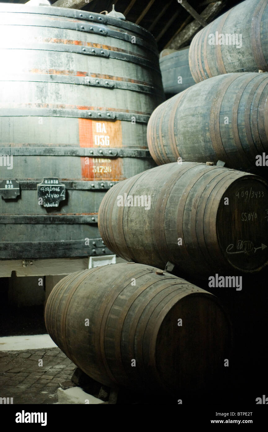 Sherry Barrels, Sandeman Port Lodge, Porto, Portugal Stock Photo - Alamy