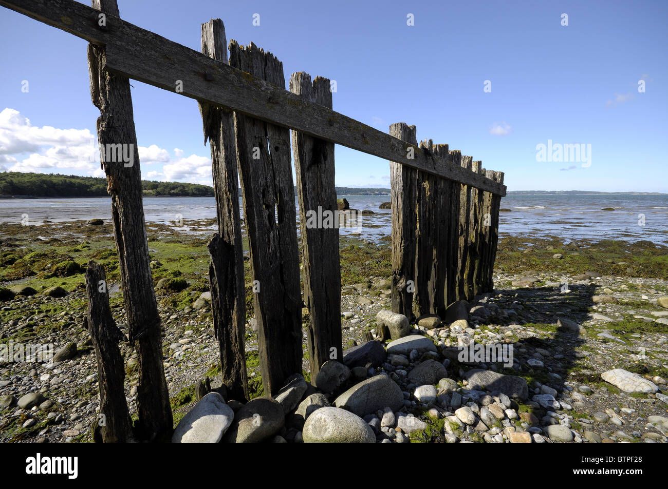 Groins hi-res stock photography and images - Alamy