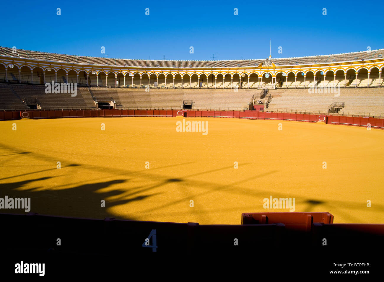 Bull with ring hi-res stock photography and images - Alamy