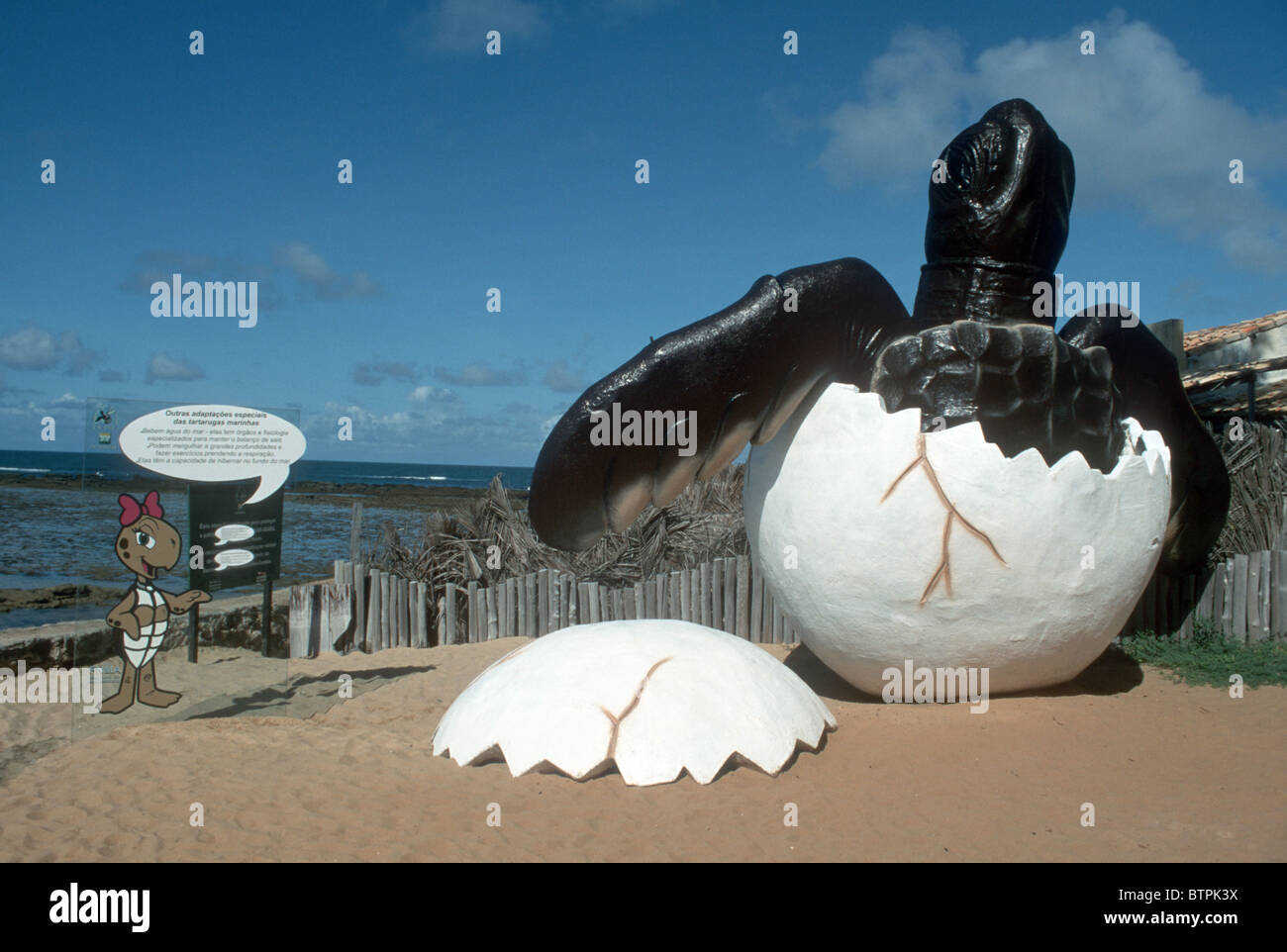 BRAZIL SEA TURTLE SANCTUARY ON A BEACH IN BAHIA STATE IN THE NORTH EAST ...
