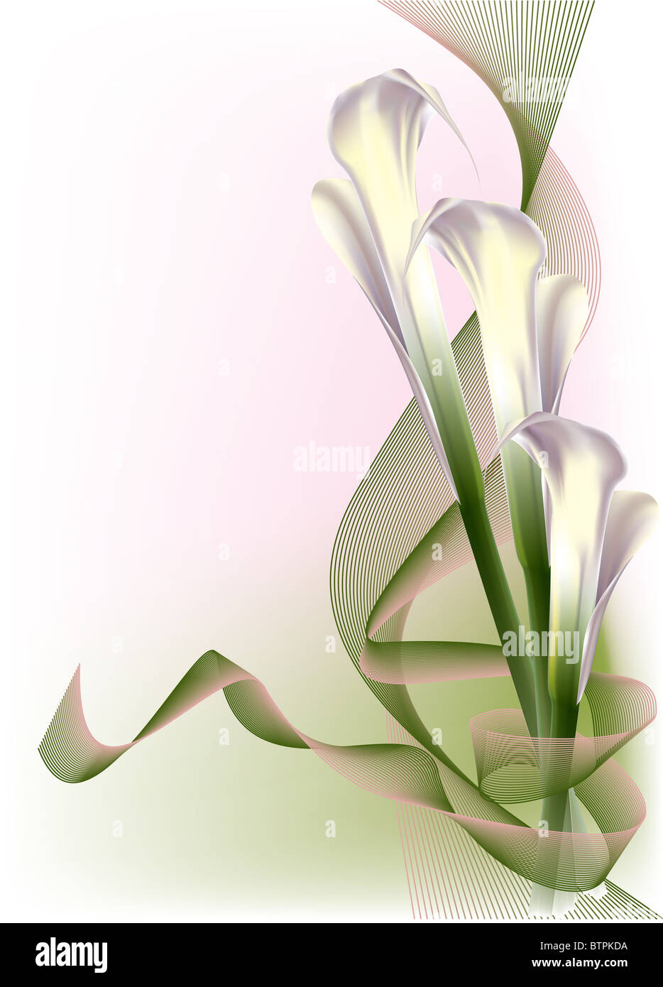 Purple Calla Lily Border Clip Art