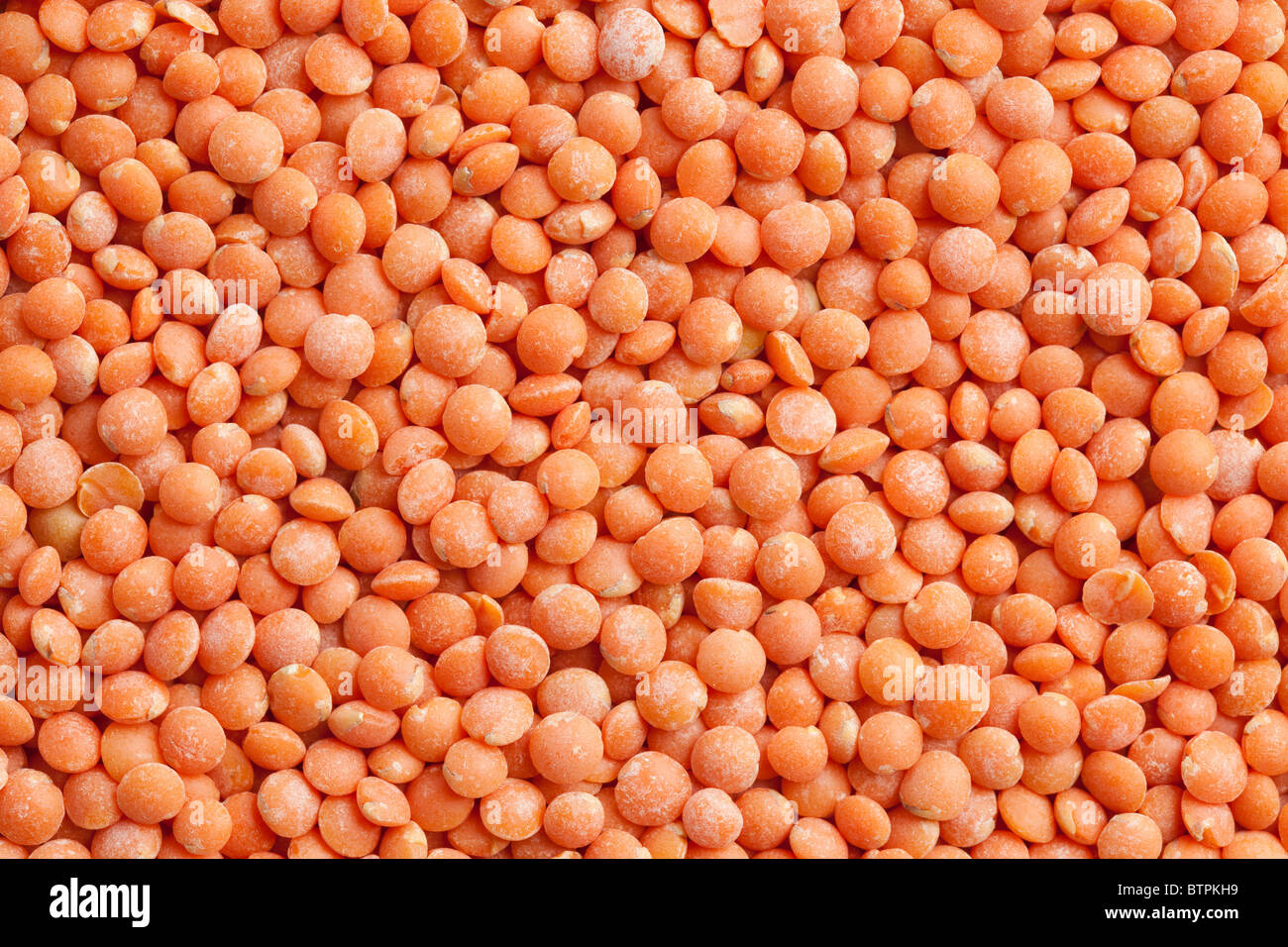 red lentils background Stock Photo - Alamy