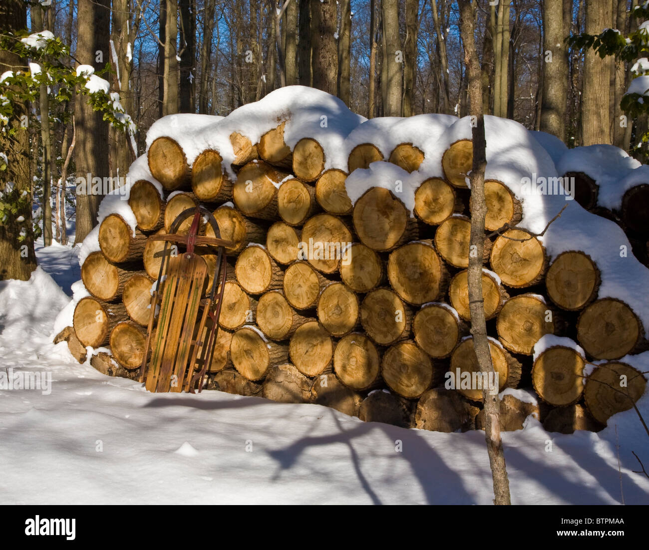 Log sled hi-res stock photography and images - Alamy