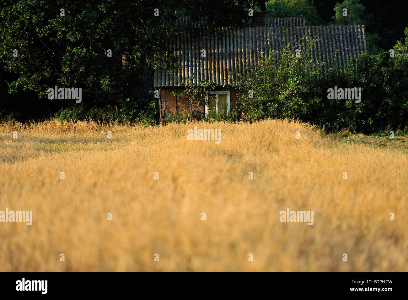 Swietokrzyskie Lechow typical Polish farm Stock Photo - Alamy