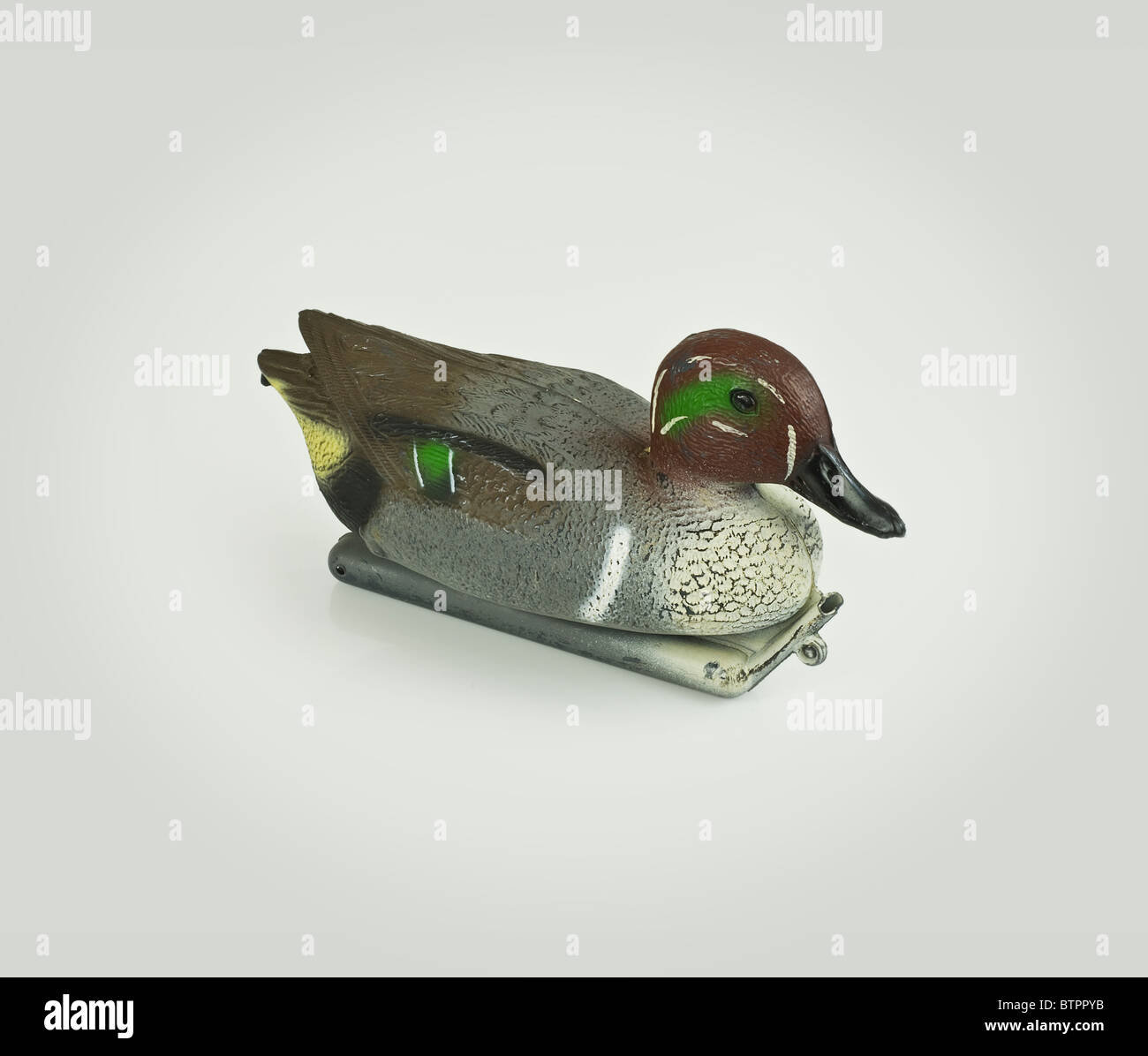 Decoy bird hi-res stock photography and images - Alamy